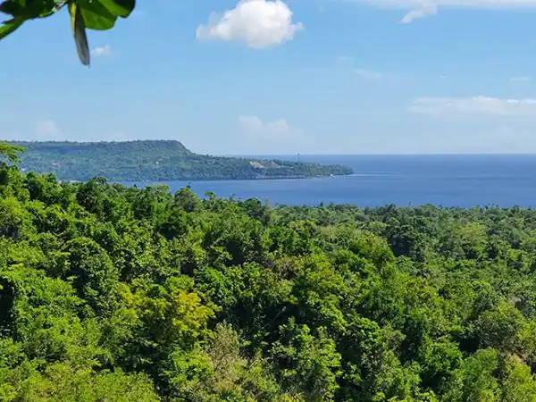 Low-Priced Seaview Overlooking Land for Sale (AG-3000) - Islands Properties